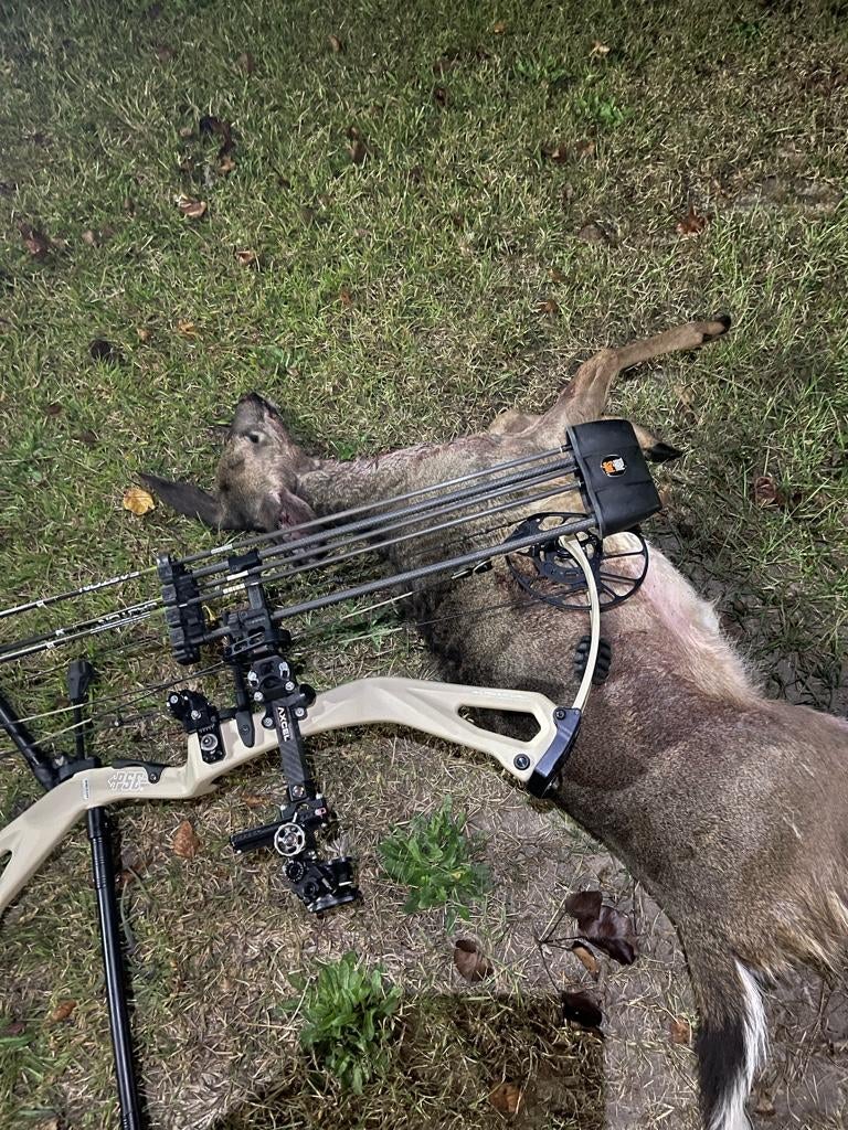 19th Annual AT Deer Contest Check-In Station | Page 7 | Archery Talk Forum