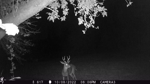 Oregon Buck Photos | IFish Fishing Forum