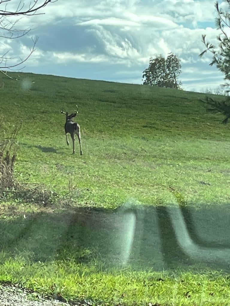 2022 Ohio Rut Update Board | Page 38 | Archery Talk Forum