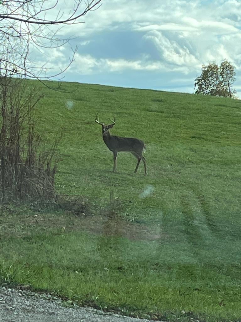 2022 Ohio Rut Update Board | Page 38 | Archery Talk Forum