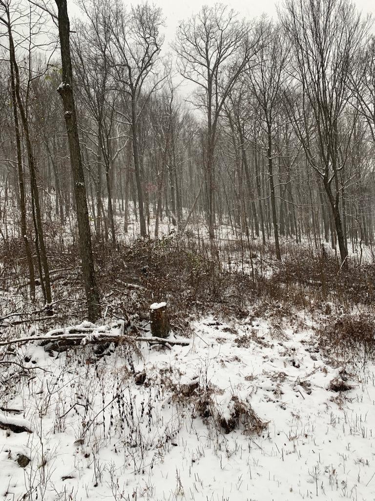 2022-23 THE Pennsylvania Thread *** | Page 185 | Archery Talk Forum