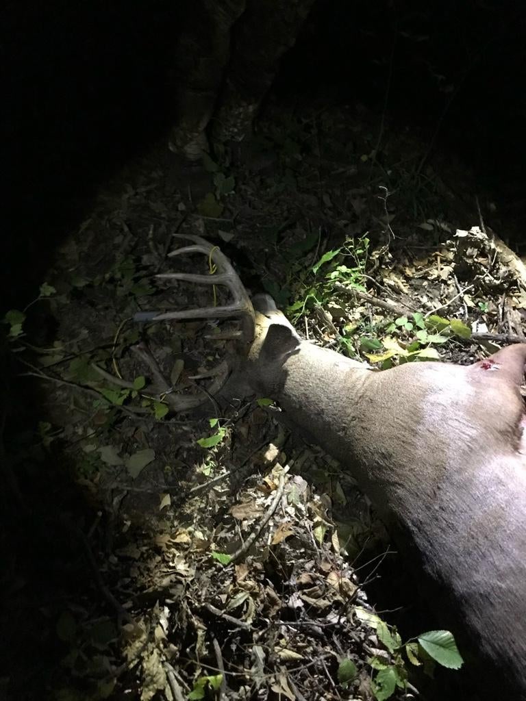 Hunting pack for packing out a deer. Recommendations please | Archery ...