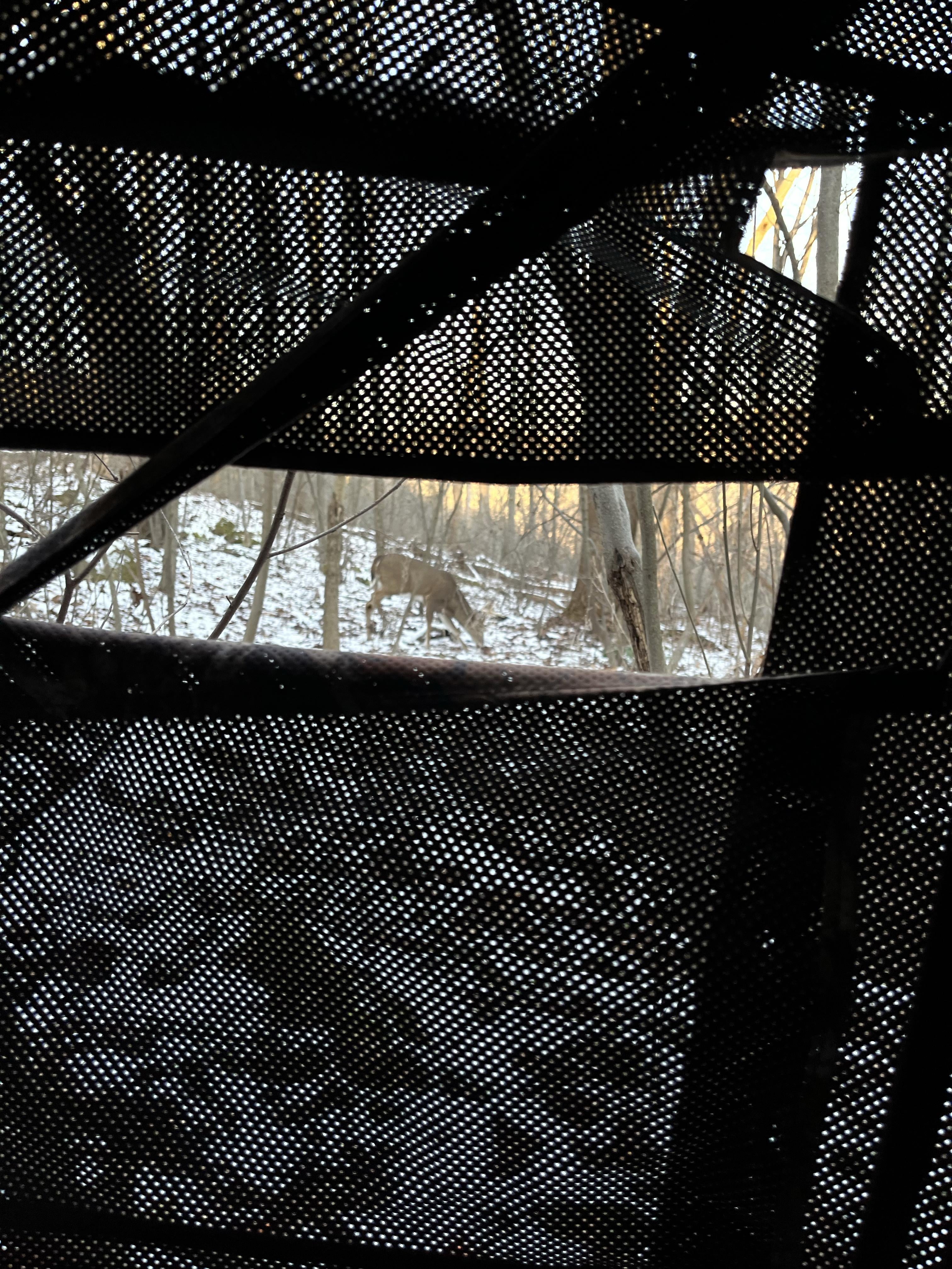 2022 Ohio Rut Update Board | Page 59 | Archery Talk Forum