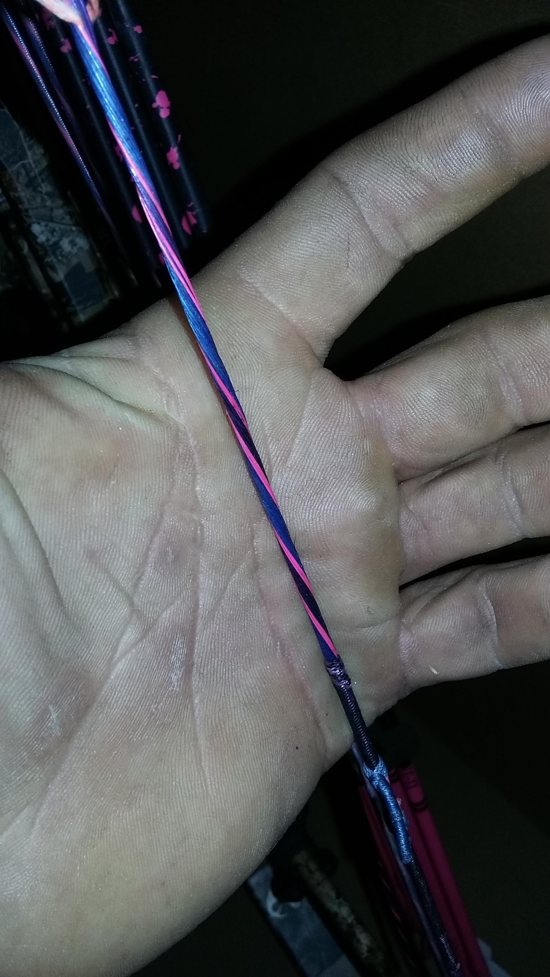 Flo Pink/Purple strings | Archery Talk Forum