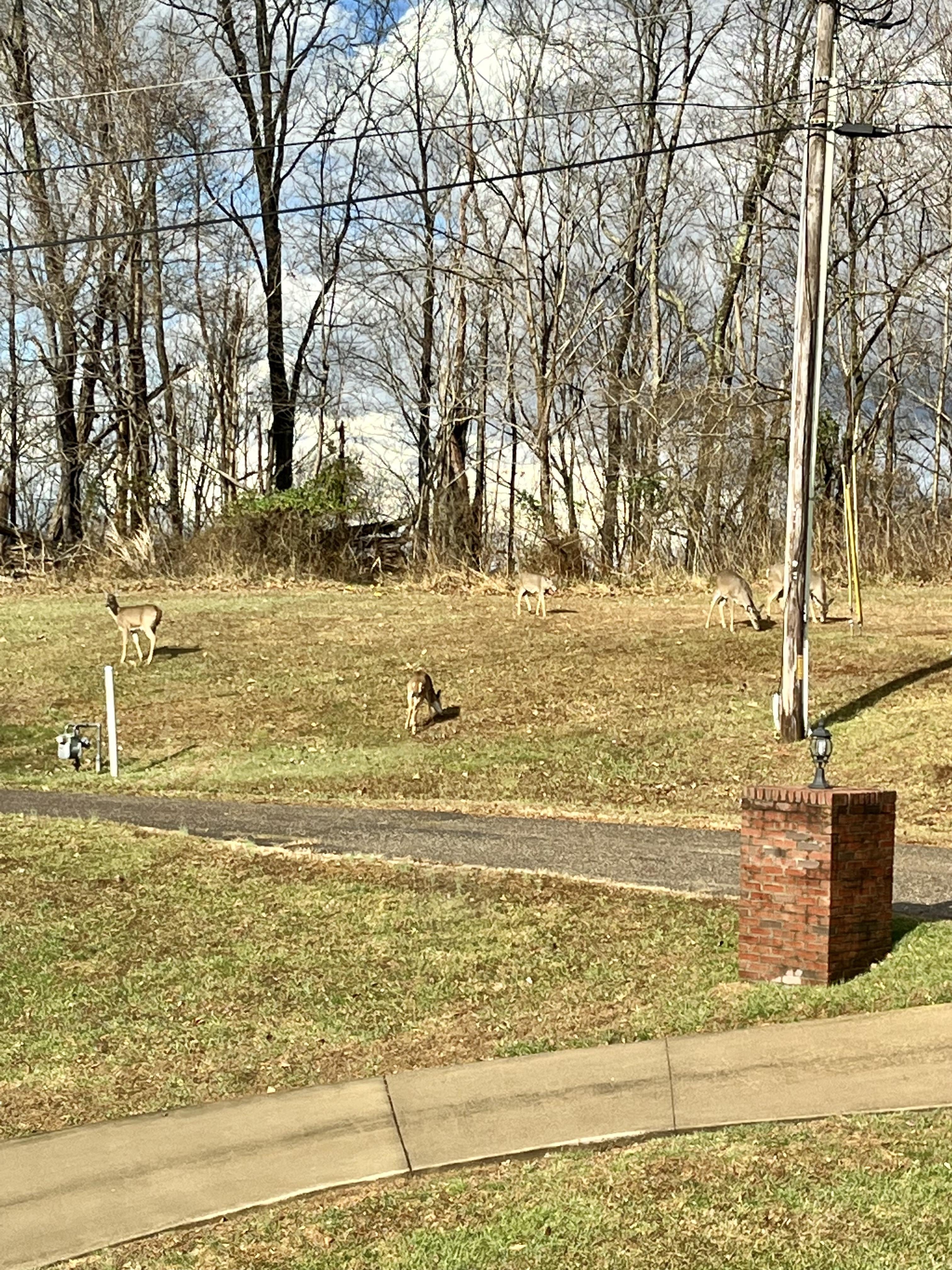 2022 Ohio Rut Update Board | Page 66 | Archery Talk Forum