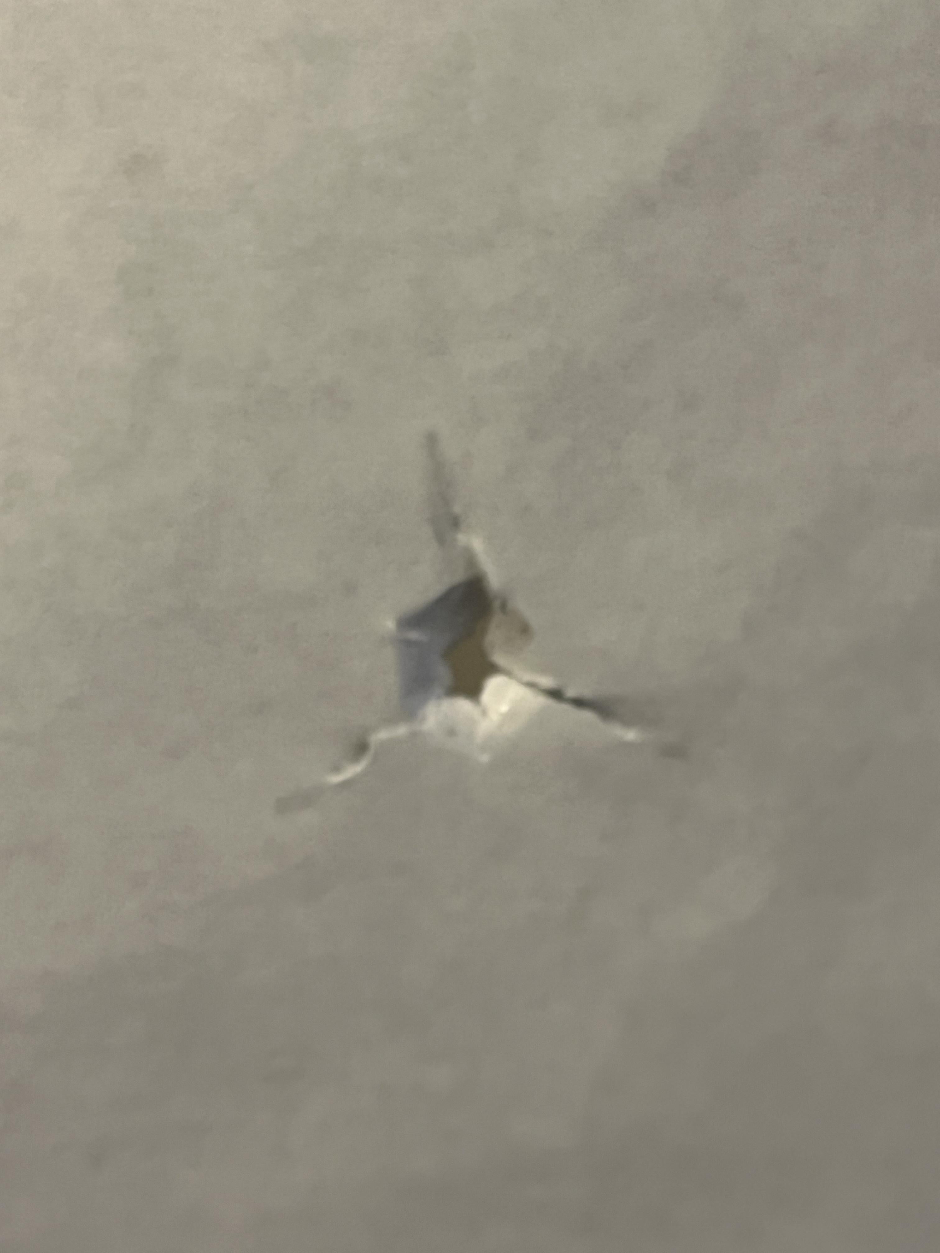 Thoughts on the 2023 Verdict | Page 8 | Archery Talk Forum