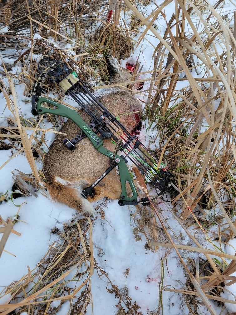 2022 Levitate picture thread....post'em if you got'em. | Page 24 ...