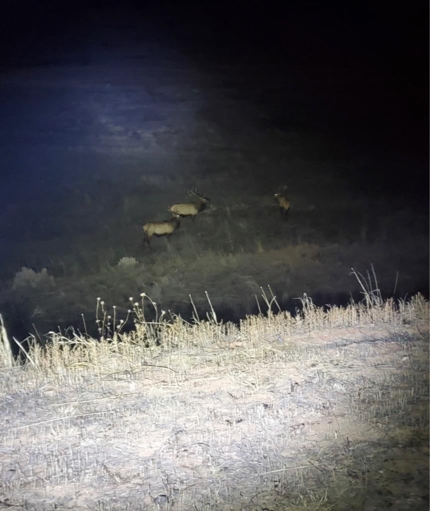 Next in the BDR series - WYBDR | Page 44 | Adventure Rider