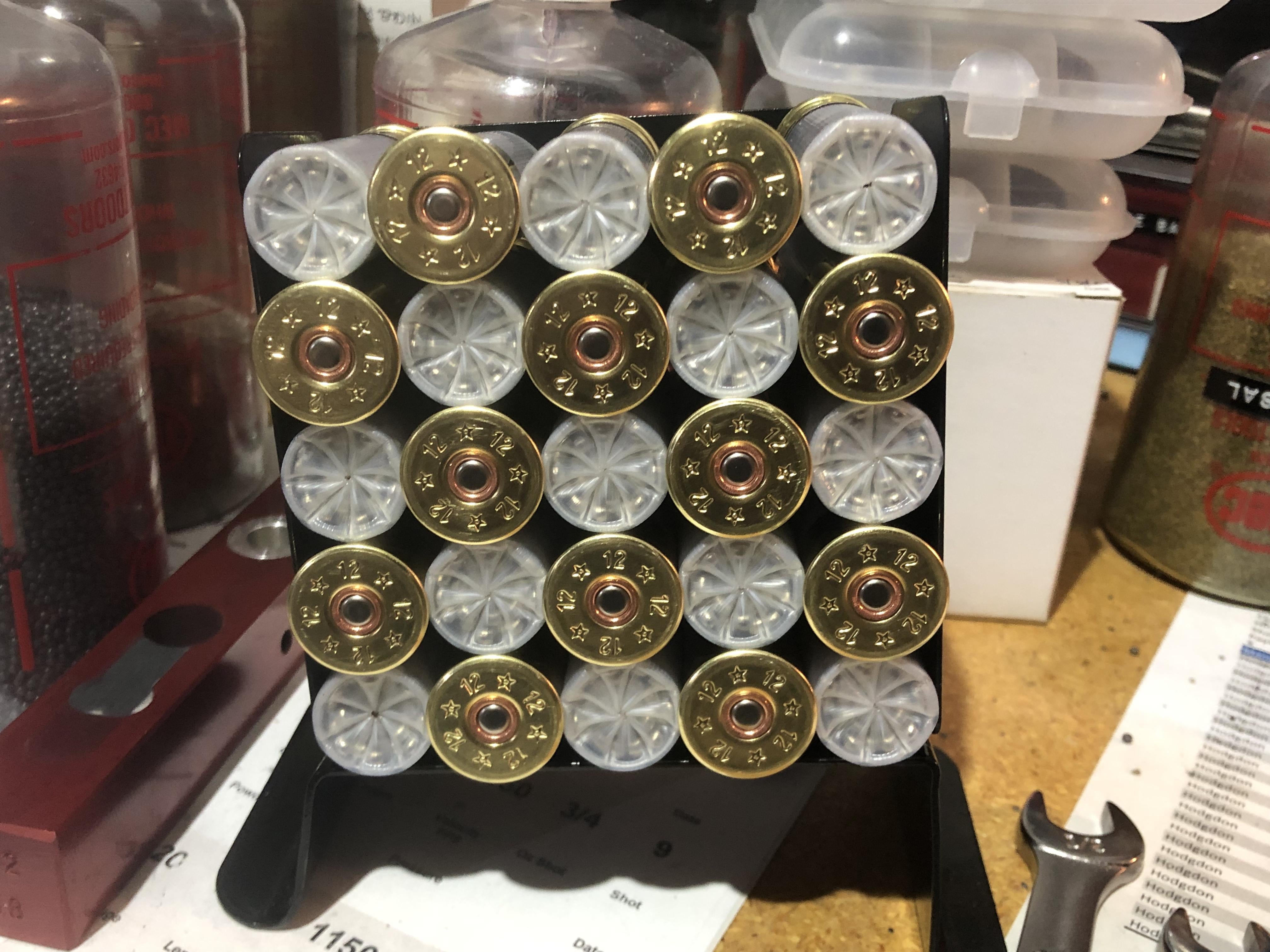Pookie shells | Shotgun Forum
