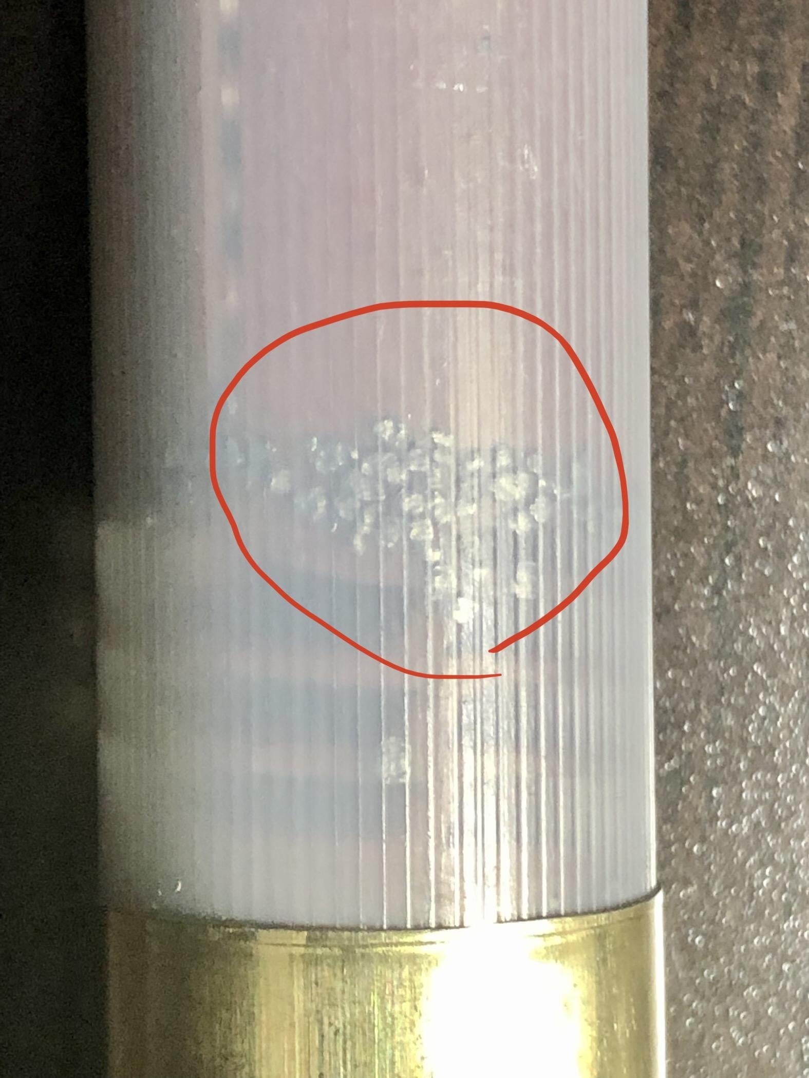 Pookie shells | Shotgun Forum