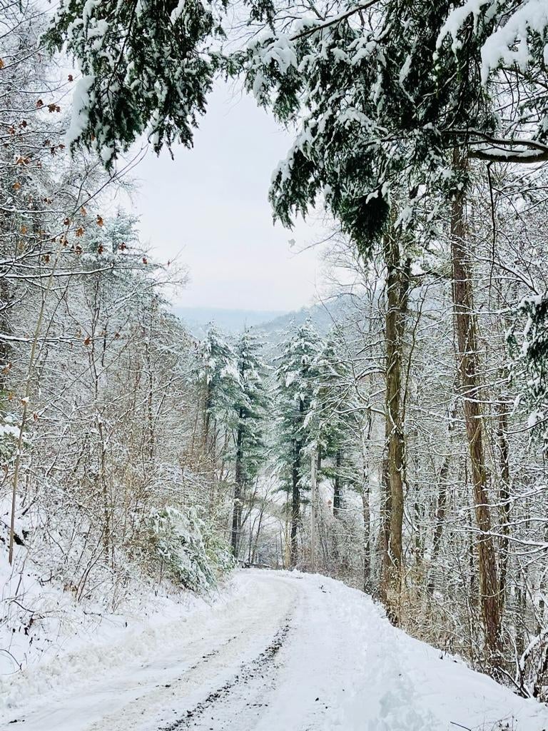 2022-23 THE Pennsylvania Thread *** | Page 247 | Archery Talk Forum