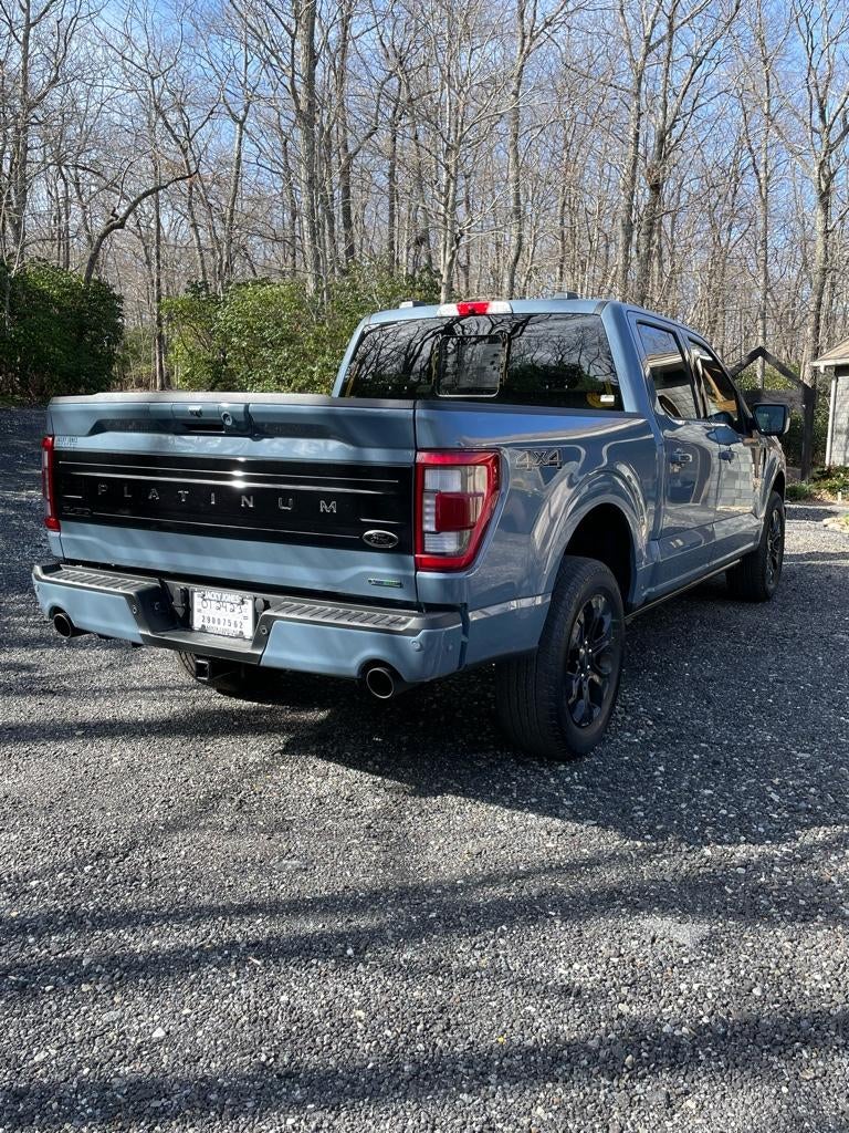 New 2023 3.5L Platinum / Black in Azure Grey Metallic | F150 Ecoboost Forum
