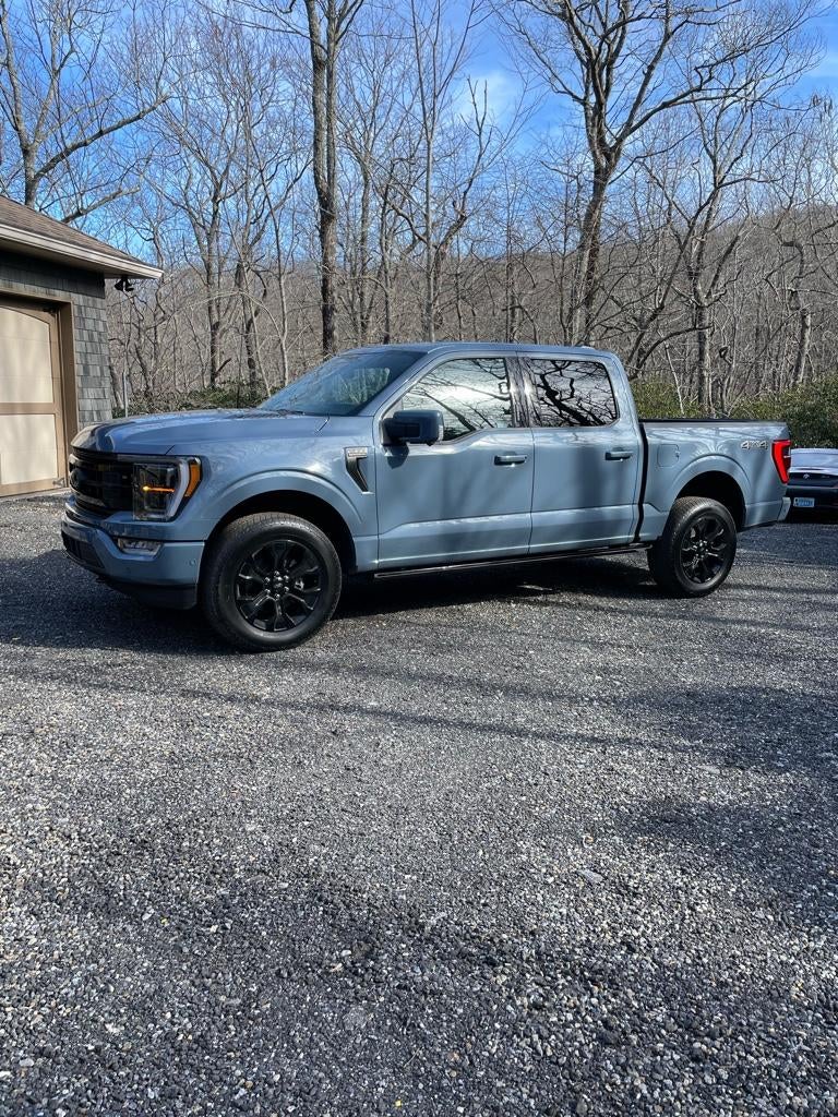 New 2023 3.5L Platinum / Black in Azure Grey Metallic | F150 Ecoboost Forum