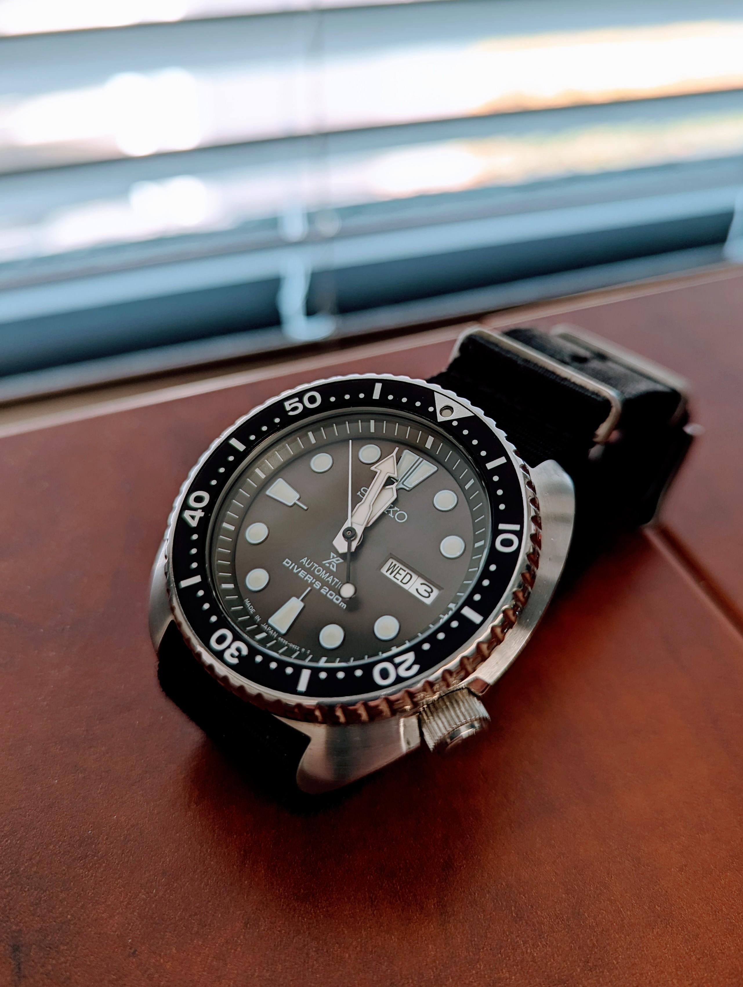 The turtle thread @@@@ | Page 697 | WatchUSeek Watch Forums