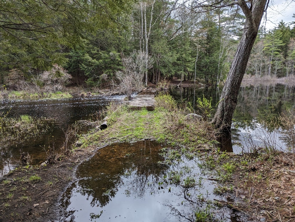 New Hampshire Flatlander ADV Route | Page 61 | Adventure Rider